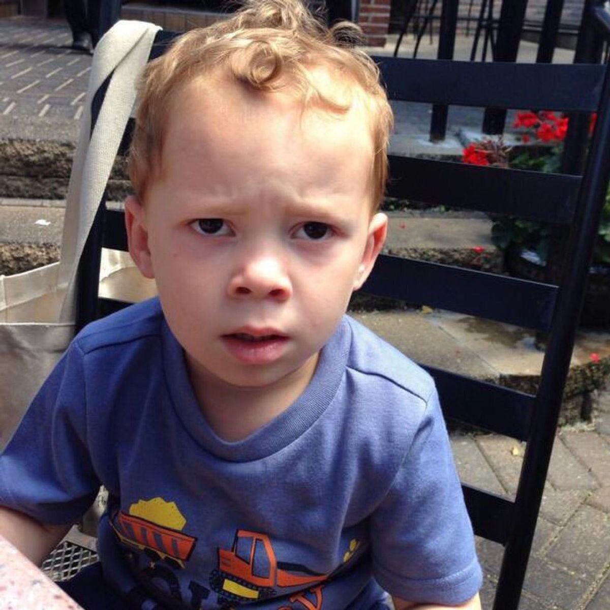 College Life As Told By 20 Gavin Memes | The Odyssey Online