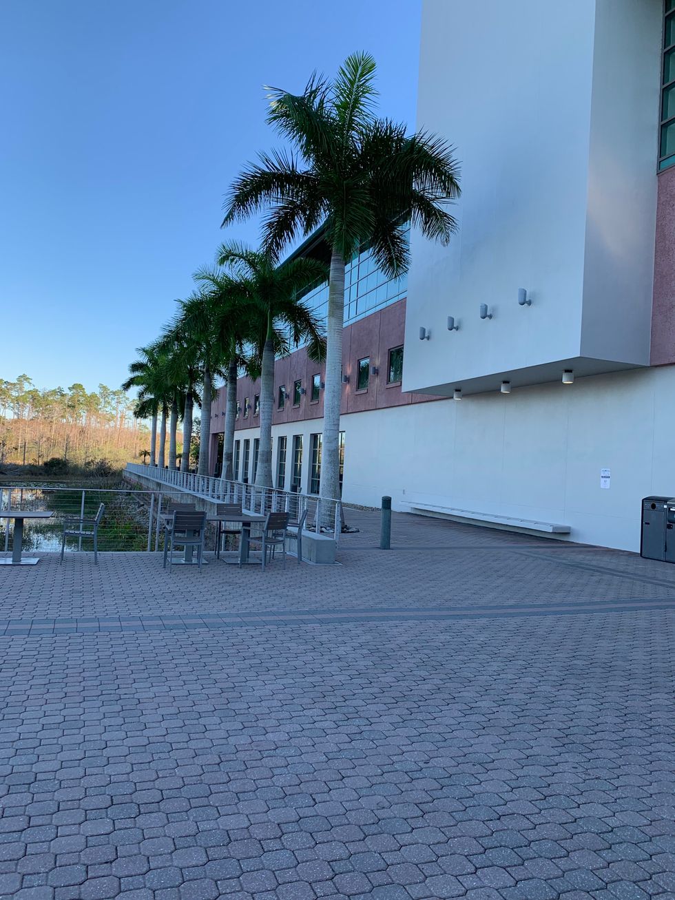 4 Reasons Florida Gulf Coast University Is A Tropical Oasis | The ...