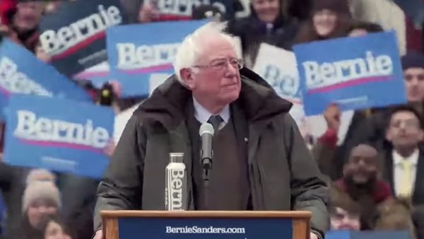 4 Reasons Bernie Sanders And Cats Are Similar | The Odyssey Online