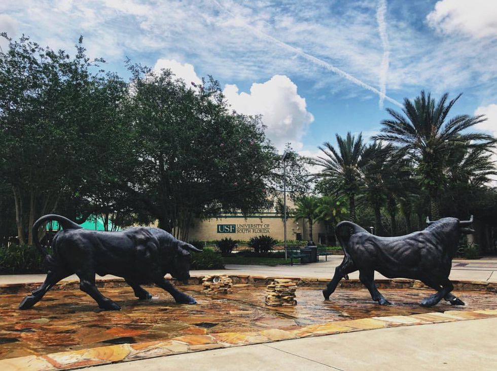 22 Things That I Would Rather Do Than Park On Campus At USF
