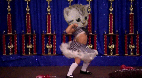10 Reasons That Cats Are Made Of Magic | The Odyssey Online