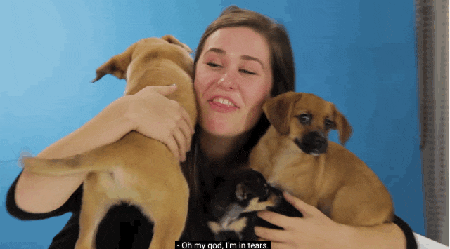 Ways That Having A Dog Benefits College Students | The Odyssey Online