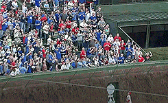 Why Being A Cubs Fan Is The Best Fan To Be | The Odyssey Online