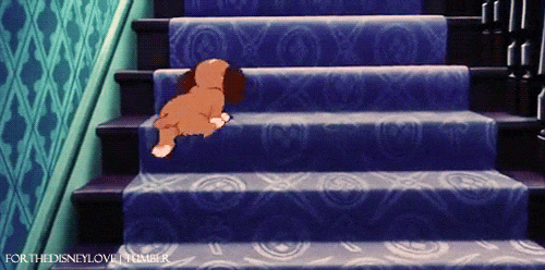 Student Life At Holy Cross Described In Gifs | The Odyssey Online