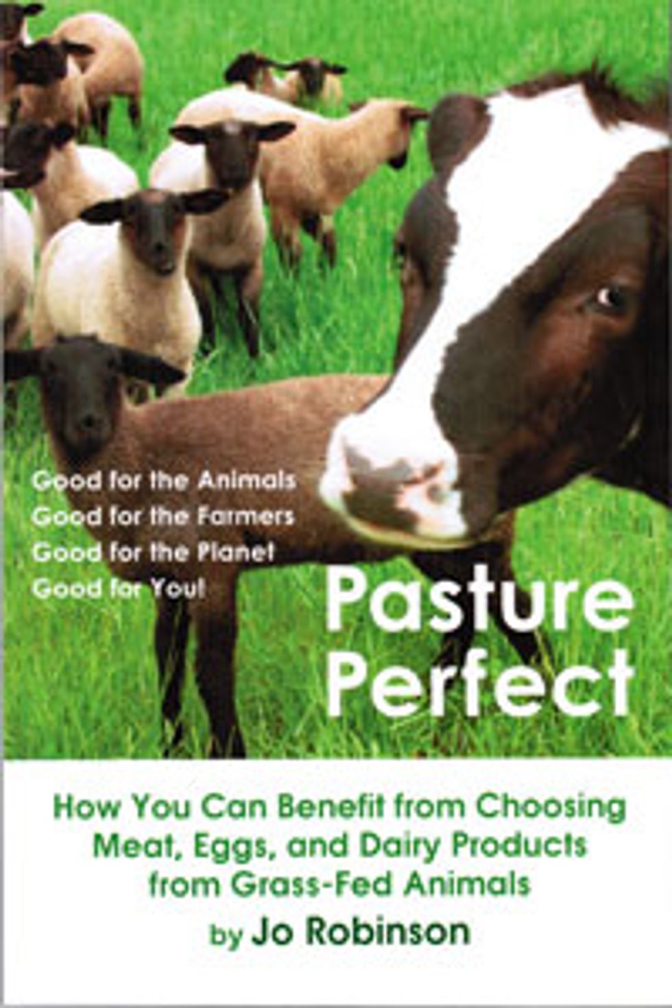 Ask Athena: Under Pressure | The Odyssey Online