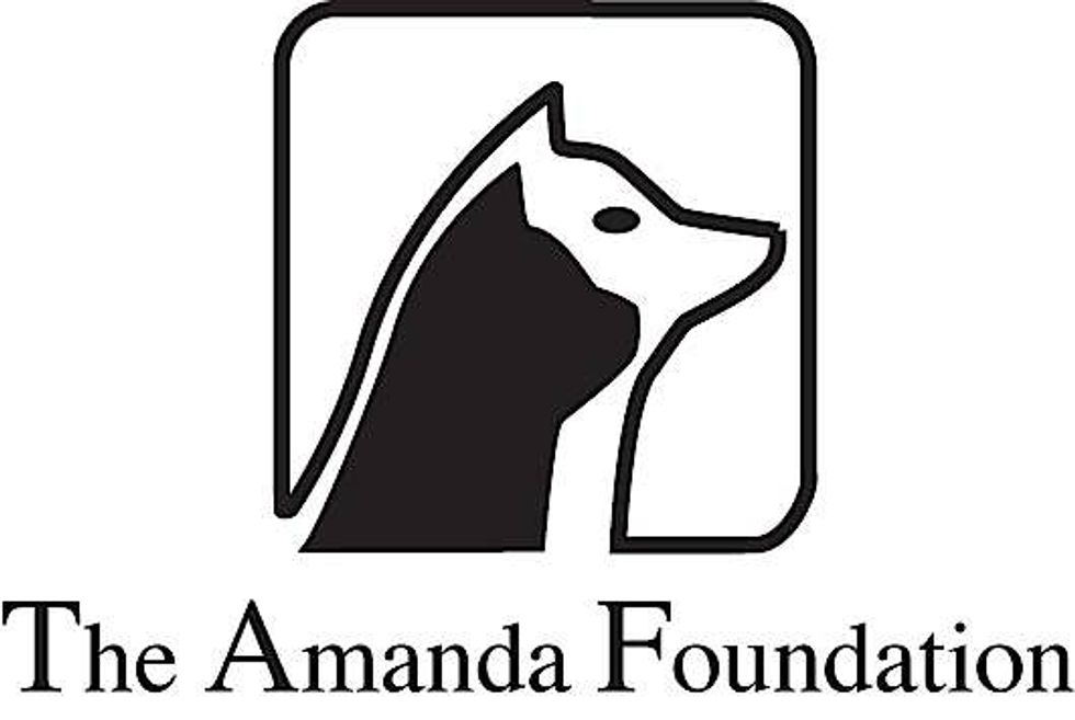 Giving Back in LA: The Amanda Foundation | The Odyssey Online