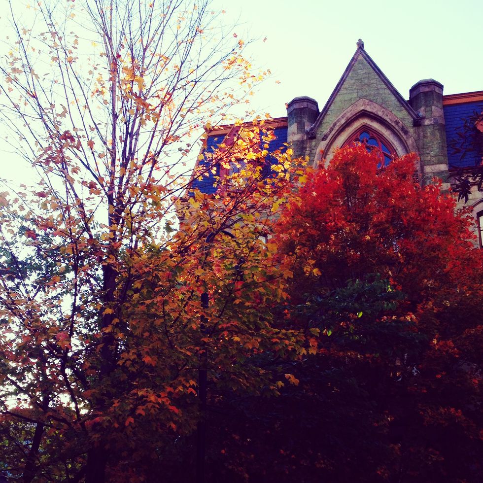 Reasons to Look Forward to Fall | The Odyssey Online