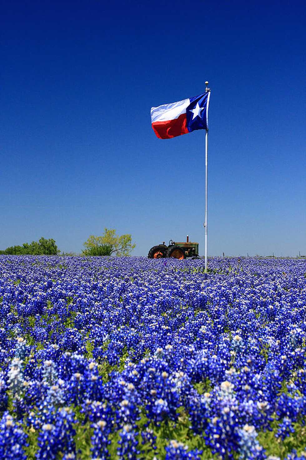 20 Reasons Why Texas Is the Only State You'll Ever Need | The Odyssey ...