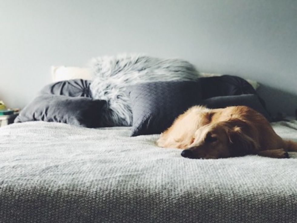 15 Ways To Relax The Right Way On National Relaxation Day | The Odyssey ...