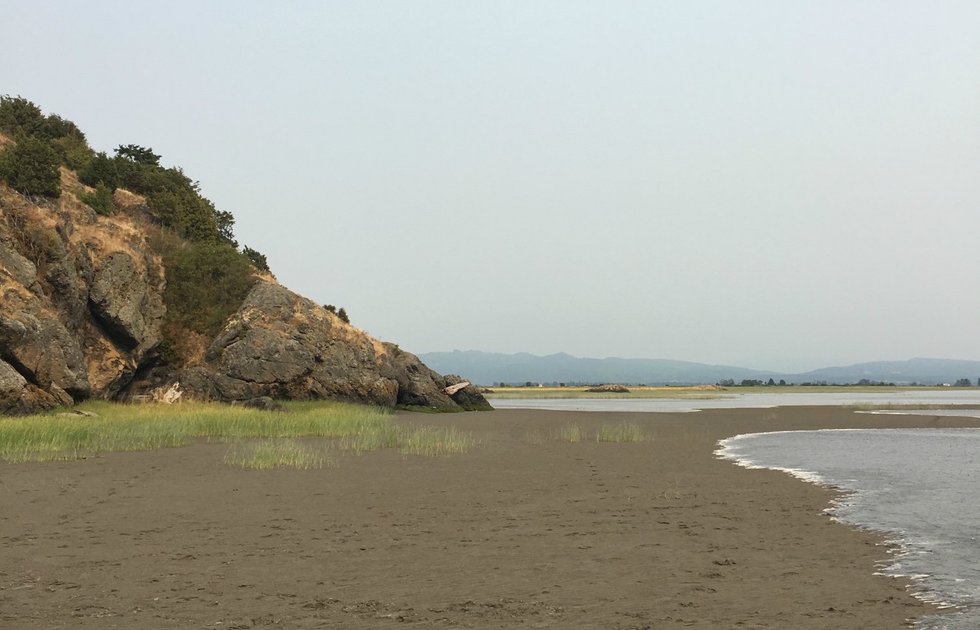 Craft Island: A Sandy Gem In Skagit Valley | The Odyssey Online