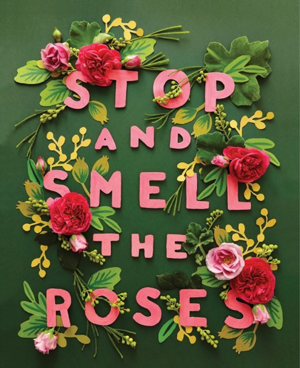 Stop and Smell the Roses | The Odyssey Online