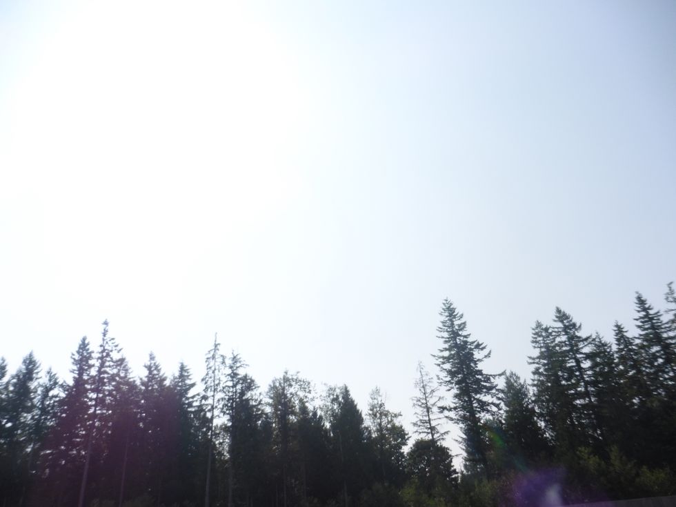 Climate Change Denialists Are Missing The Point | The Odyssey Online