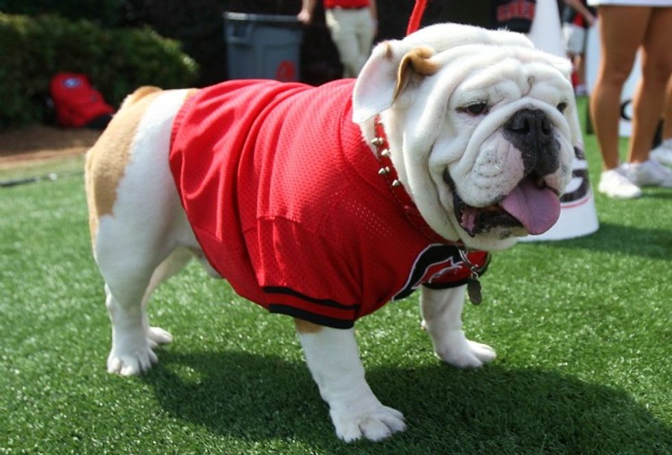 5 Facts About UGA Every Dawg Fan Should Know | The Odyssey Online