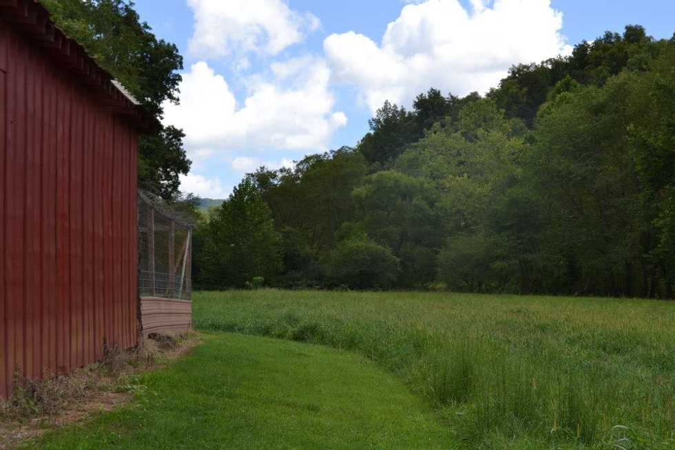 15 Signs You Are A Camp Counselor | The Odyssey Online