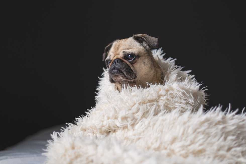 5 Things You Can Relate To If You Have A RBF | The Odyssey Online