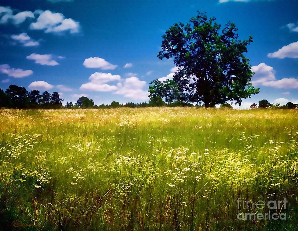 7 Things To Do On Your Lazy Summer Days | The Odyssey Online