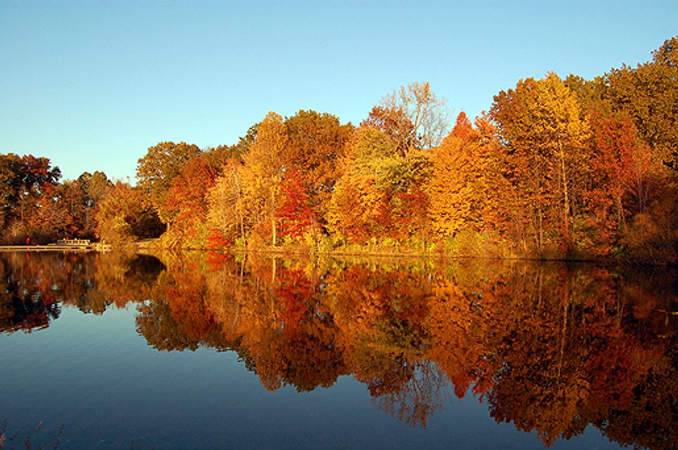 5 Signs That It's Fall In Ohio | The Odyssey Online