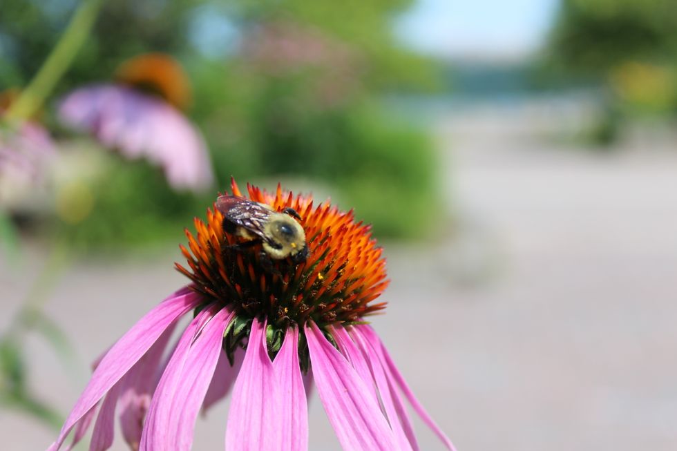 Stress Less, Smile More | The Odyssey Online