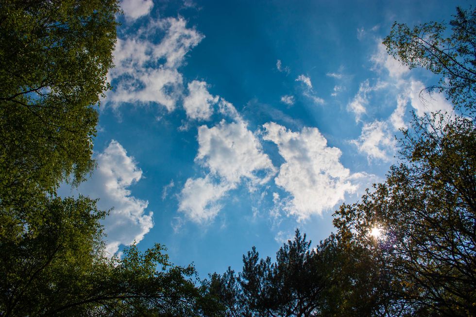 12 Songs for Your Back-to-School Playlist | The Odyssey Online