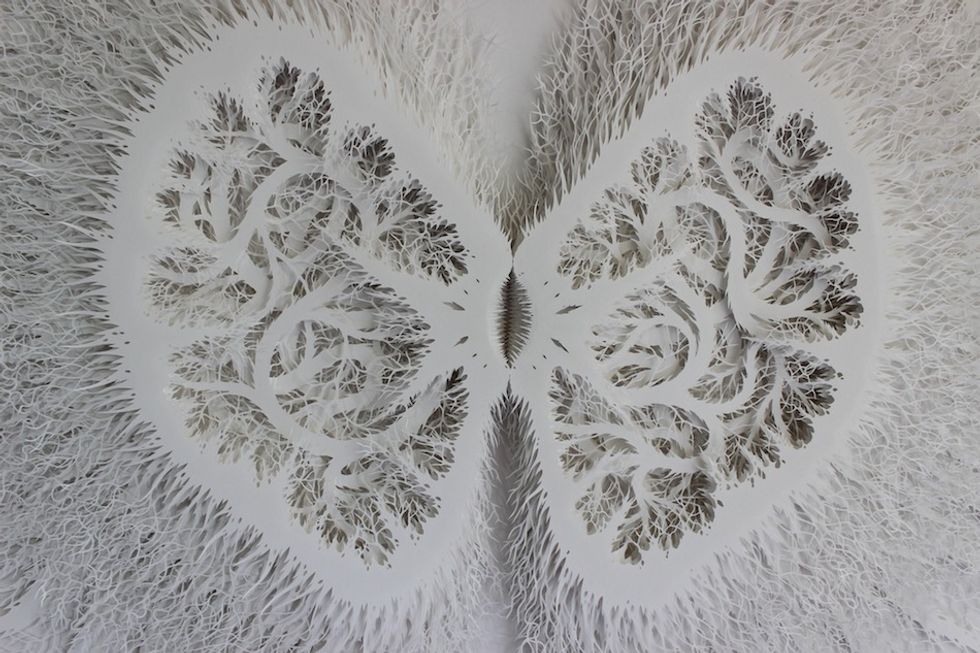 The Beautiful Intricacies Of Life | The Odyssey Online