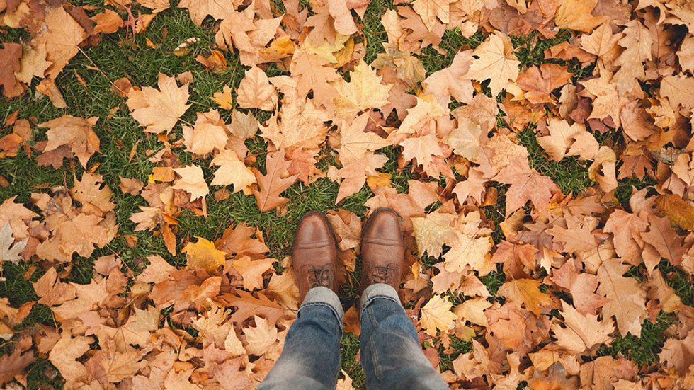 Top 10 Reasons Why Fall Is The Best Season | The Odyssey Online