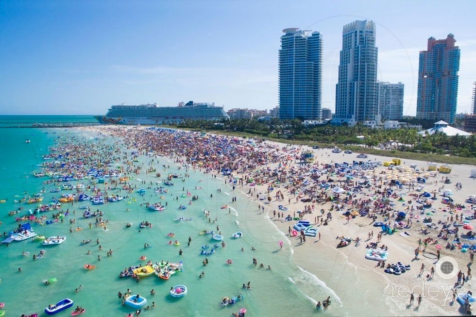 Miami Natives, This Is Why We Need To Keep Our Beaches Clean | The ...