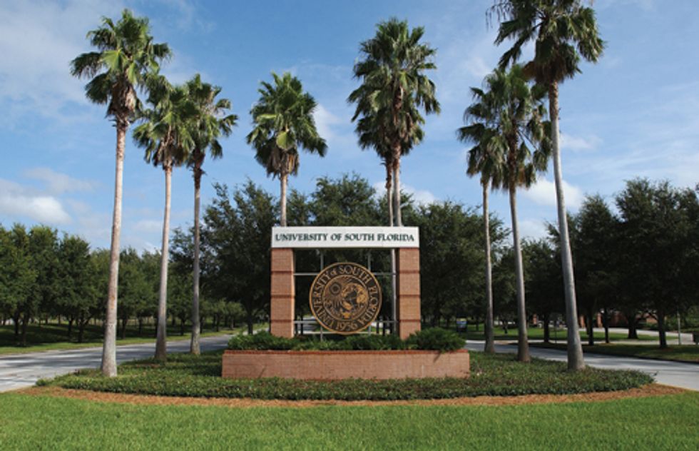 9 Free Must-Do's On The USF Campus | The Odyssey Online