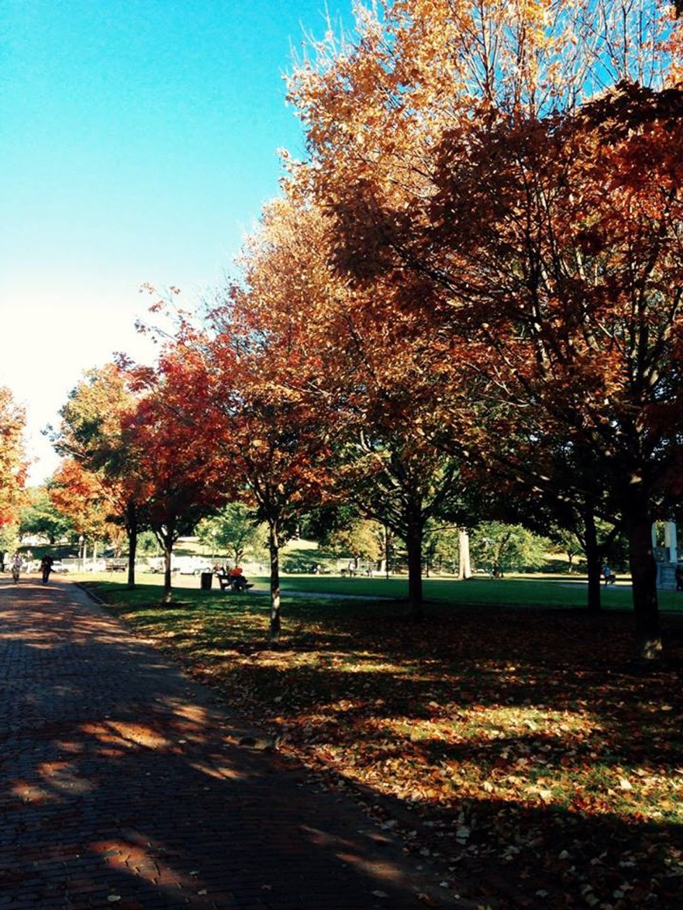 Five Reasons Why I Love Fall