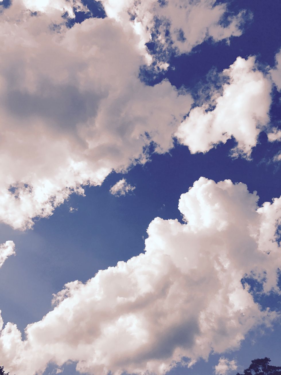 A Window's Poem | The Odyssey Online
