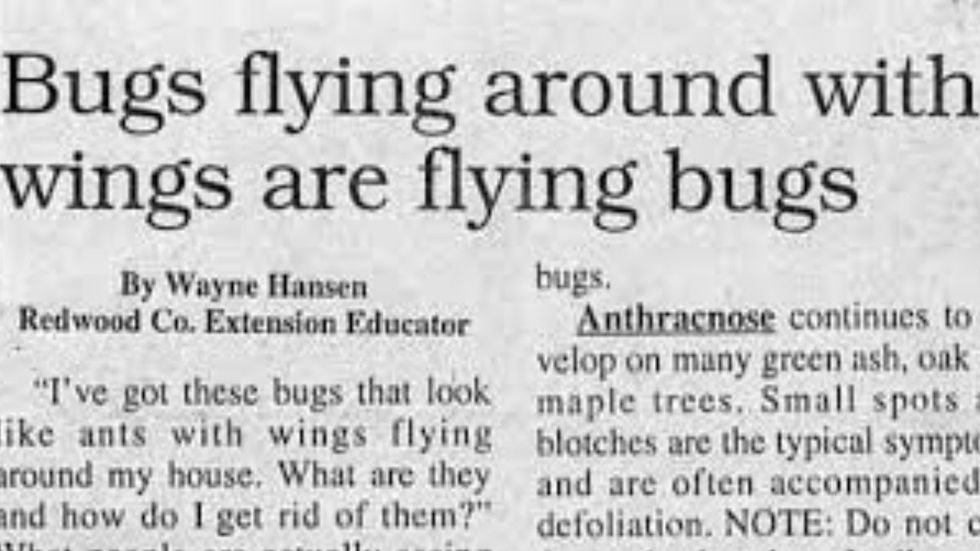 5 Worst Newspaper Headlines | The Odyssey Online