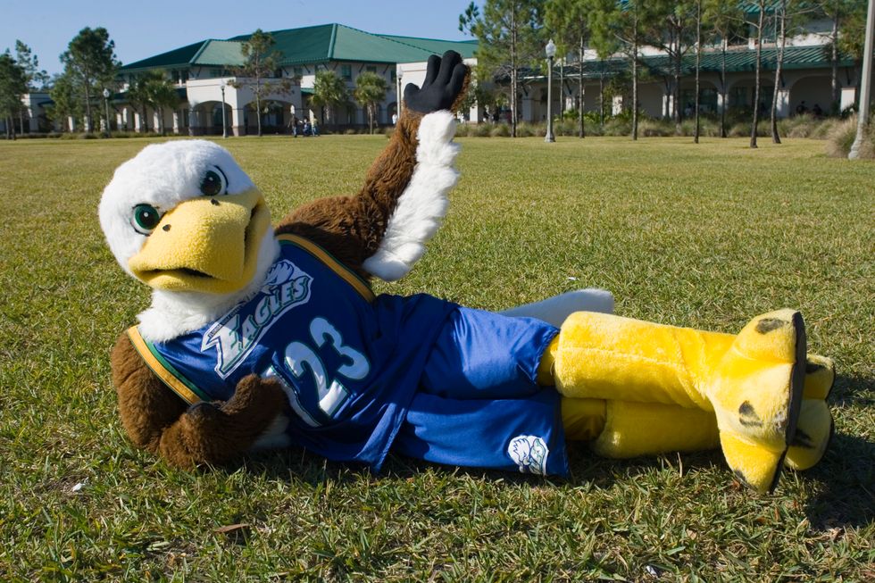 3 Reasons Why FGCU Is Better Than Any Other University | The Odyssey Online
