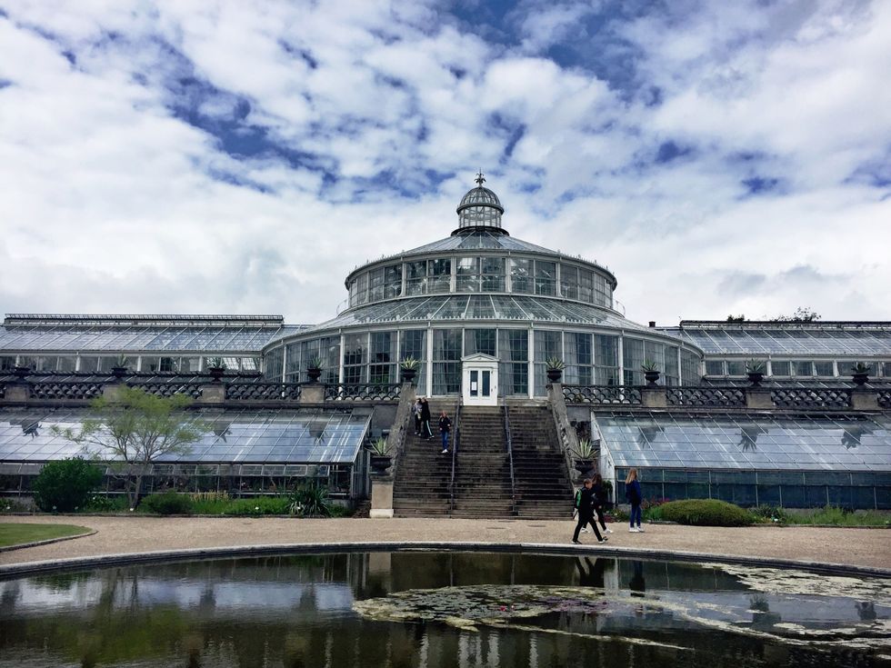 Max: The Goofball | The Odyssey Online