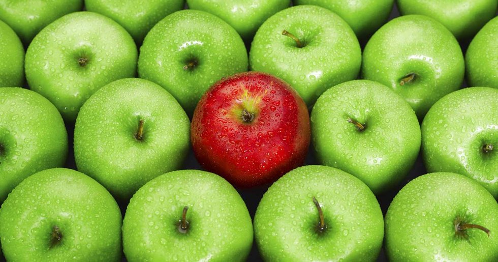 We Are All The Same | The Odyssey Online