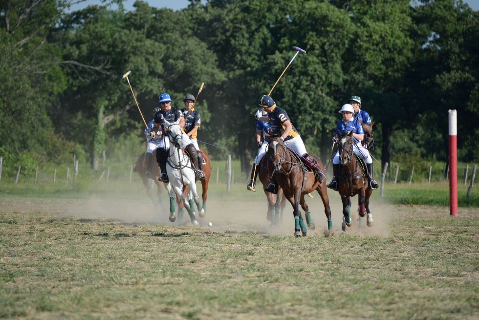 The History Of Polo | The Odyssey Online