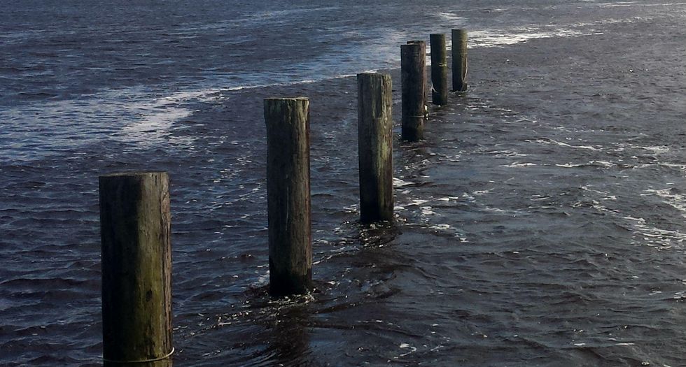 Possible Cape Fear River Water Crisis | The Odyssey Online