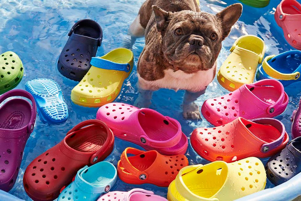 Should You Roc The Croc? | The Odyssey Online