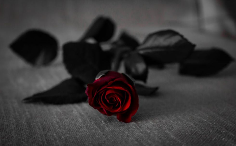 Poems On Odyssey: WILTED | The Odyssey Online