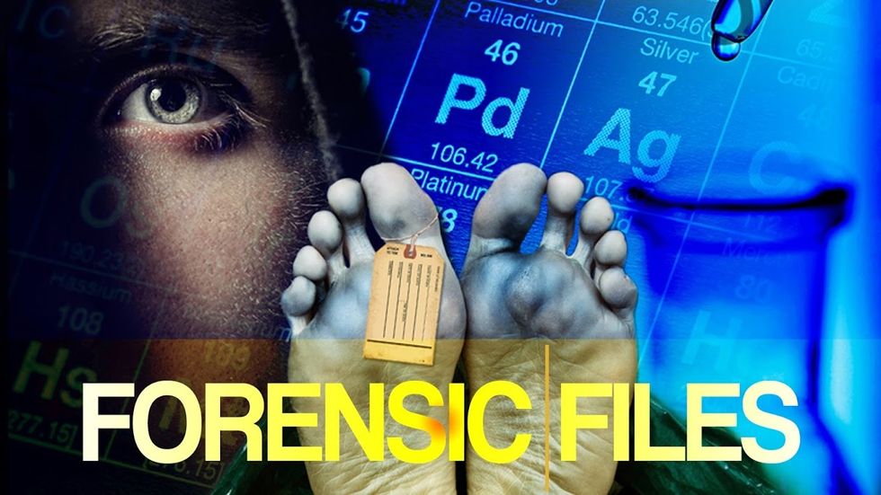 5 Reasons You Should Start Watching 'Forensic Files' | The Odyssey Online