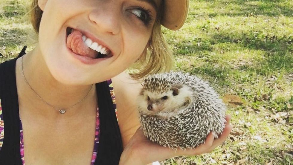 10 Perfect Pets For College Kids Who Can't Have A Cat Or Dog | The ...