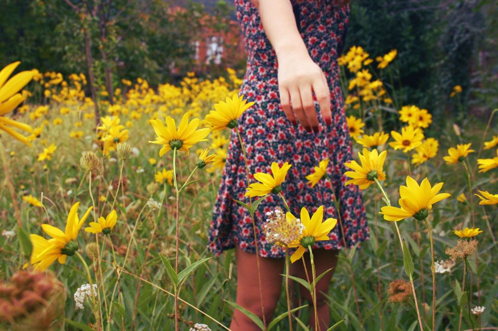 Why It's OK To Take The Path Less Traveled | The Odyssey Online