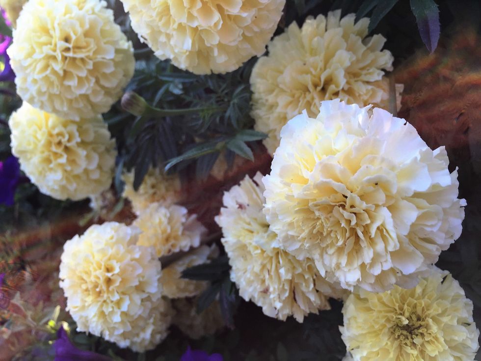 Why It's Okay That You've Outgrown Some People | The Odyssey Online