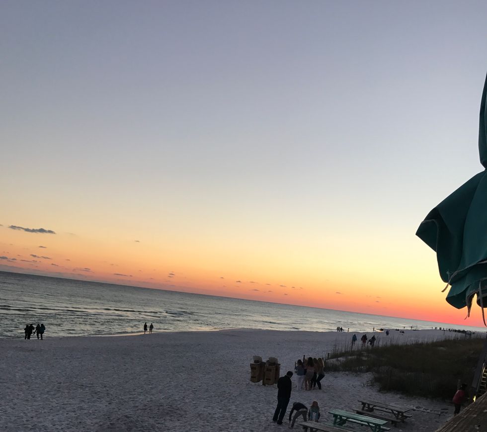 Throwing Starfish | The Odyssey Online