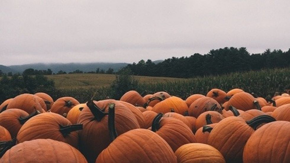 9 Reasons To Look Forward To Fall | The Odyssey Online