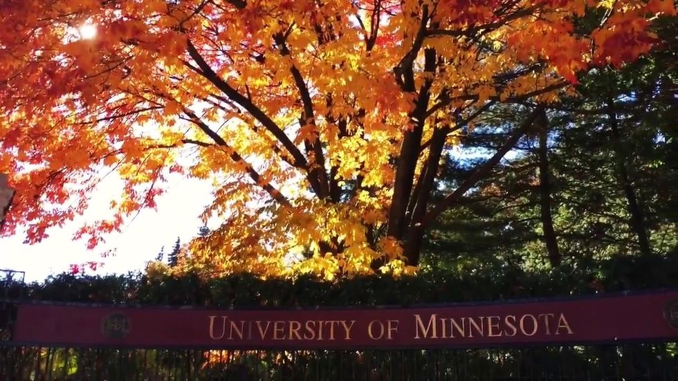 7 Things To Do On The UMN Campus This Fall | The Odyssey Online
