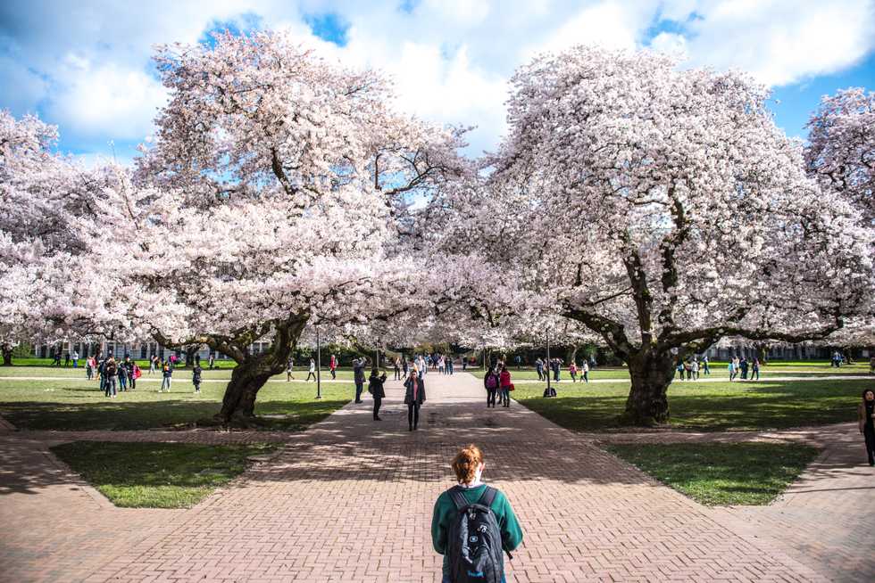 5 Things We All Feel During Spring Quarter | The Odyssey Online