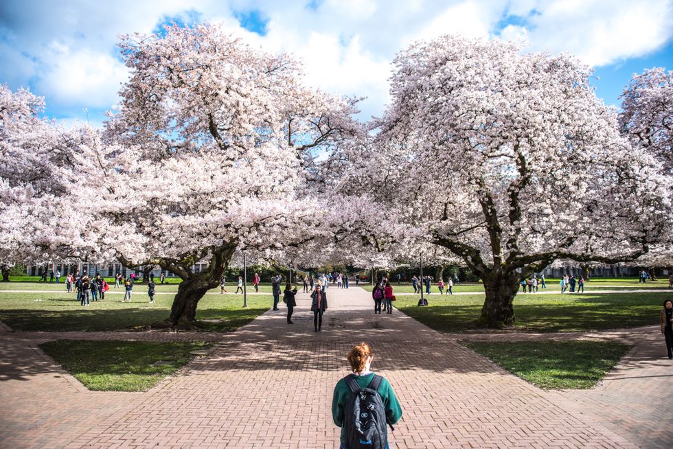 5 Things We All Feel During Spring Quarter | The Odyssey Online