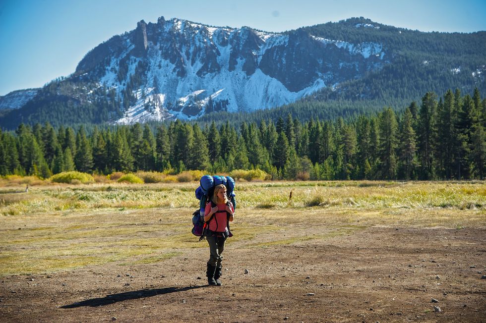 Nature Movies That Will Make You Go Outside More | The Odyssey Online