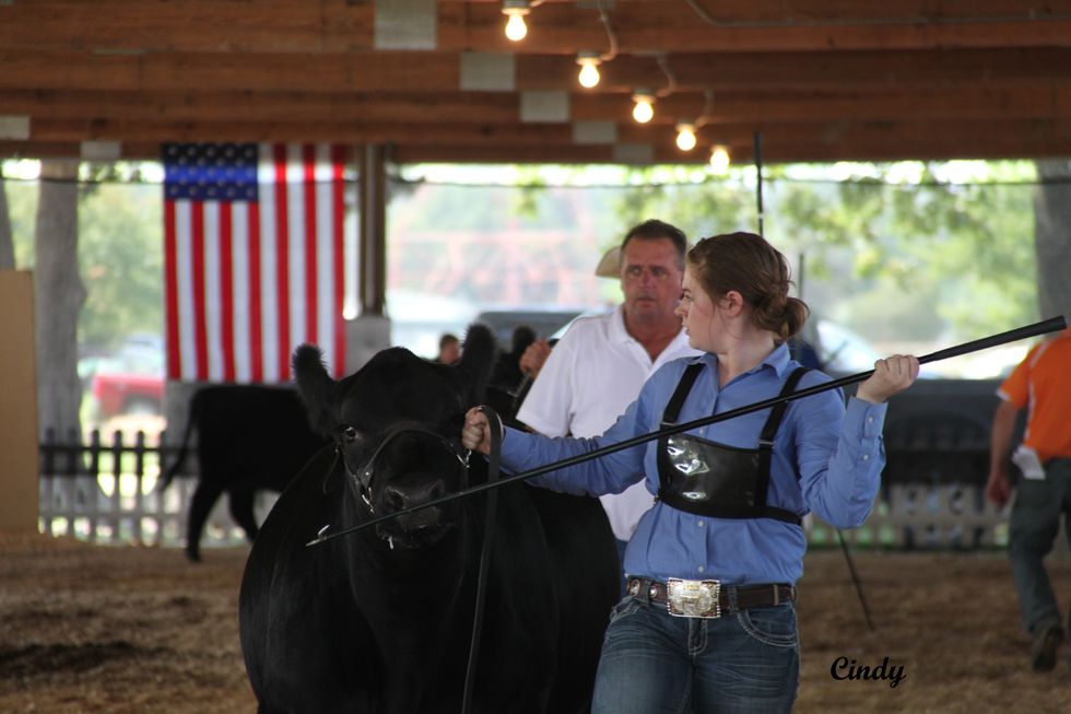 5 Life Lessons I Learned In The Show Ring | The Odyssey Online