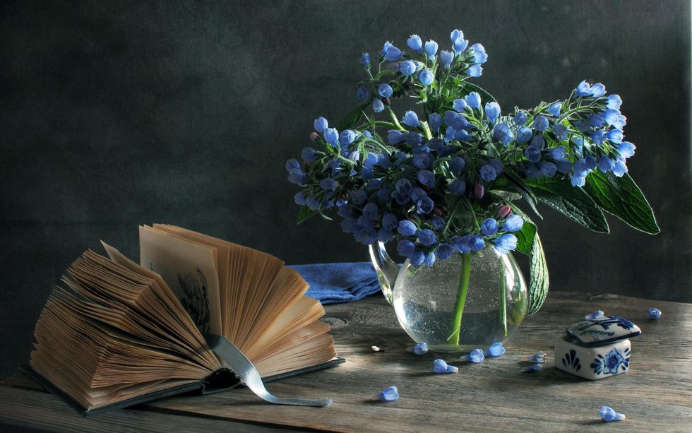 42 Poems Every Female College Student Needs To Read | The Odyssey Online