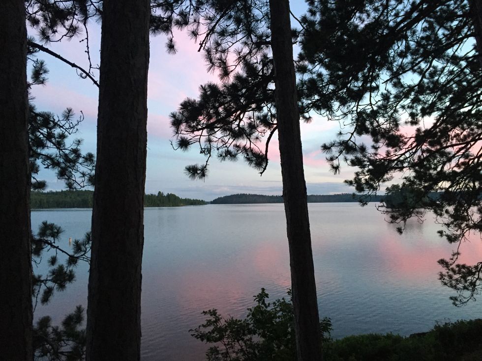 The North Woods | The Odyssey Online